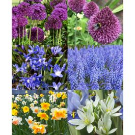 Collection P: The Deer-Proof Garden | Van Engelen Wholesale Flower Bulbs